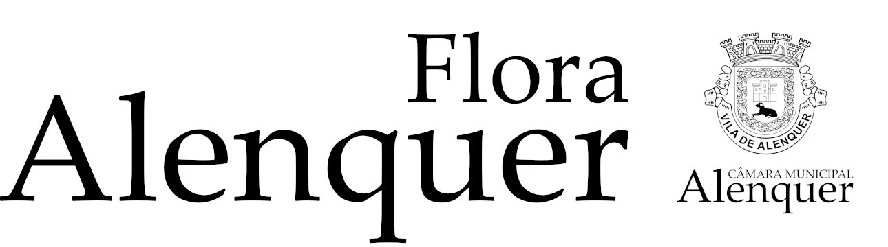 Flora Alenquer